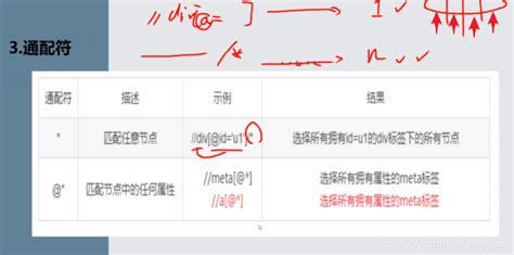 xpath提取网页数据（附实例） xpath爬取网页全部内容 csdn博客