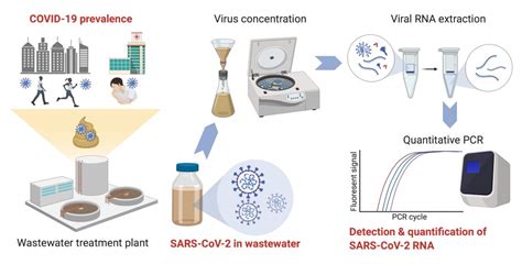 SARS CoV 2 RNA Detected In Untreated Wastewater From Louisiana