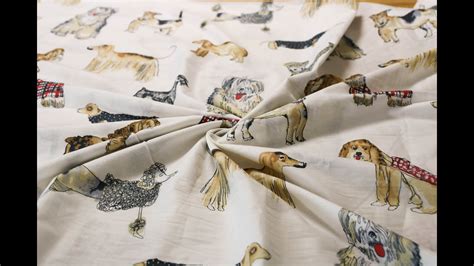 Коты или собаки вы на чьей стороне самая лучшая бязь для любителей собак Youtube