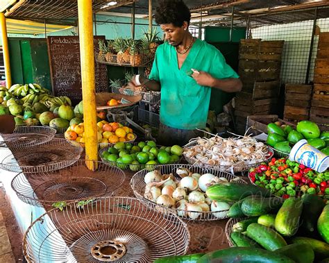 People — Dana Moody Hellwig