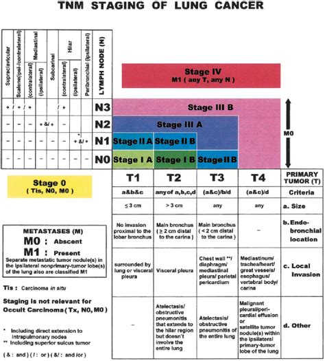 How Is Small Cell Lung Cancer Staged Cancerwalls