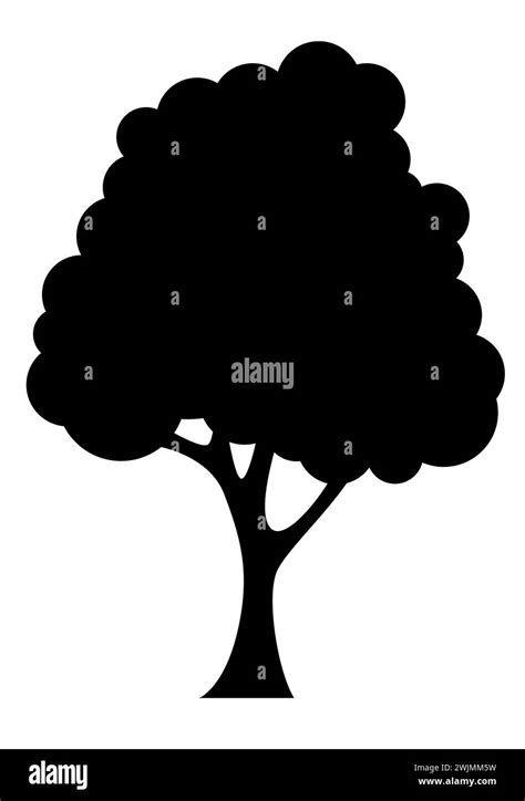 Tree Silhouette Black And White Vector Illustration Of Deciduous Tree