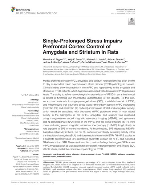 Pdf Single Prolonged Stress Impairs Prefrontal Cortex Control Of Amygdala And Striatum In Rats Pdf Single Prolonged Stress Impairs Prefrontal Cortex Control Of Amygdala And Striatum In Rats