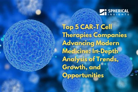 Immune Cell Therapy Companies Top Immune Cell Therapy Companies Wmjjxr
