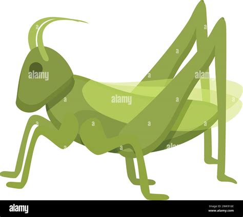 Jump Grasshopper Icon Cartoon Vector Life Insect Animal Bug Art Stock