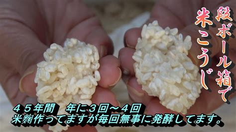 【米麹】の作り方 一年中いつでも作れる【米こうじ】