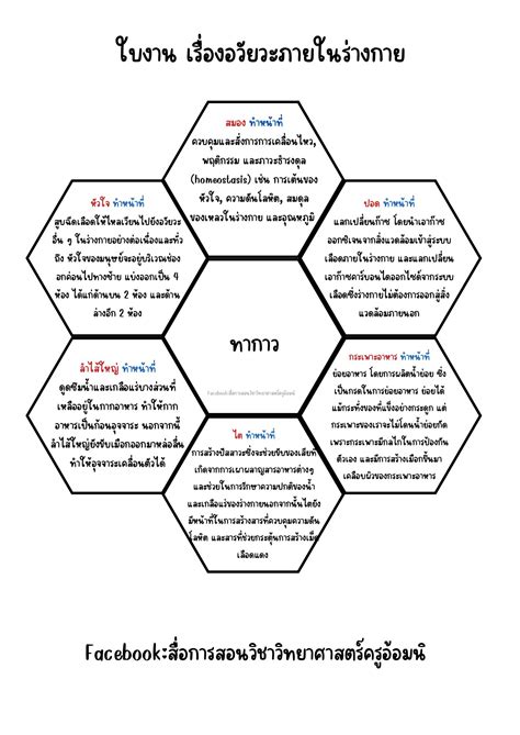 สื่อการสอนวิชาวิทยาศา สื่อการสอนวิชาวิทยาศาสตร์ ครูอ้อมนิ