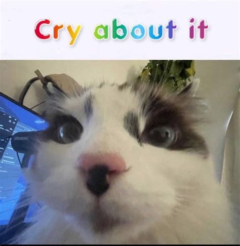 GitHub Cat Pwn PetSimxTradebot Trade Bot