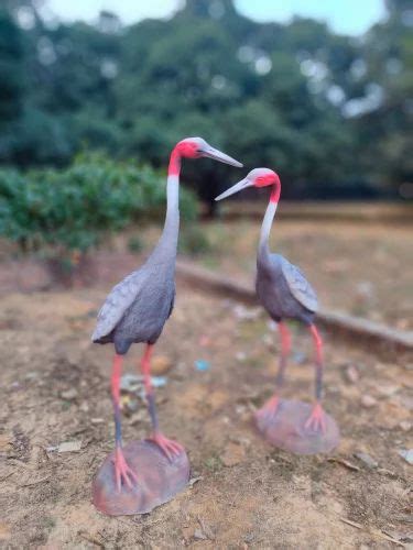 Frp Crane Bird Statue At ₹ 15000 Piece फाइबर मोर की मूर्ति In Lucknow Id 2850371040973