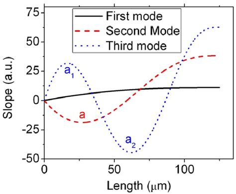 Theoretical Calculation Of The Shape Function Derivative I Y ¢ X Of