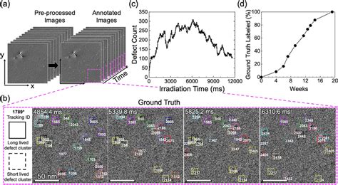 An Overview Of The Ground Truth Annotation Defect Count Download