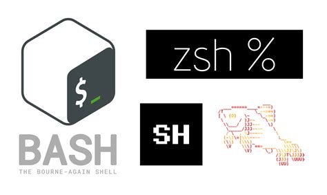 3 Filosofía Unix And Bash Introducción A Unix Para Bioinformática