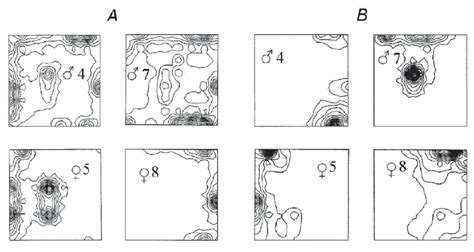 Contour Mapping Of The Frequency Of Visual Registration Of Tamarisk