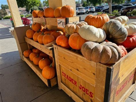 The Best Fall Pumpkin Foods From Trader Joes