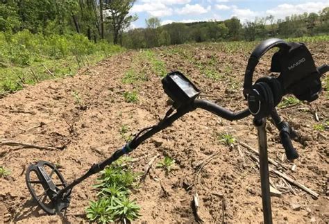 8 Reasons Why Your Metal Detector Keeps Beeping Detecting School