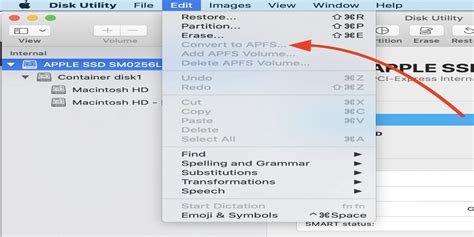 apfs vs mac os extended which format option is better