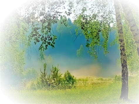 Природа картинки без фона