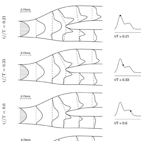 Pulsatile In Vitro And In Vivo Inlet Waveform Download Scientific Diagram