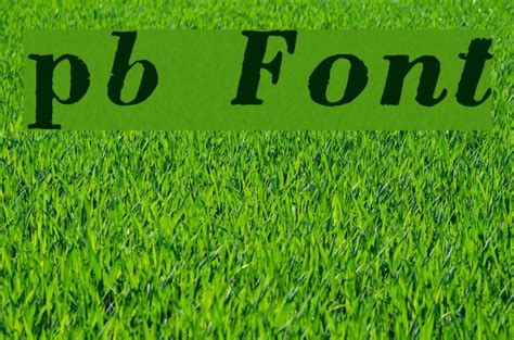 Pb Font
