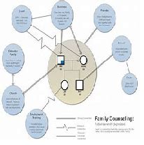 Draw The Genogram And Ecomap My Best Writer