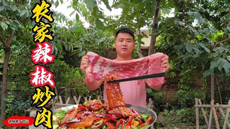 做道农家辣椒炒肉，片大过瘾，肥而不腻，卷山东大煎饼，太香了 Youtube