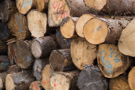 How To Get Free Lumber For All Of Your DIY Projects