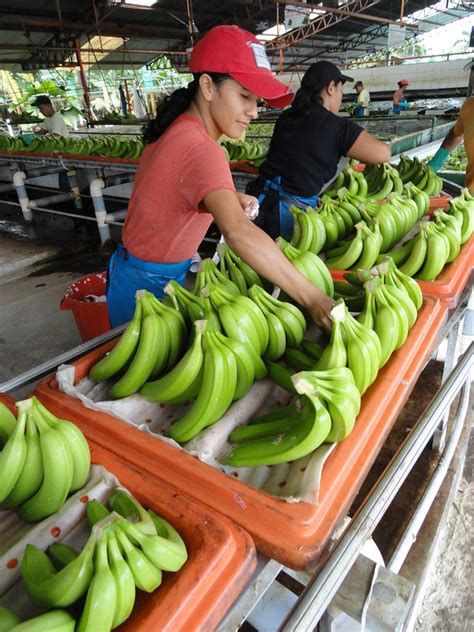 New 2023 Benchmark And Reference Value Updates Global Living Wage Coalition