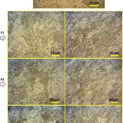 The Microstructure Of We43 Before And After Ecap Through Different Download Scientific Diagram