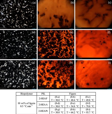Images Obtained By Optical Microscope Of Lignin In Pils Download