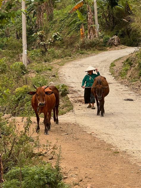 Cao Bang Loop Hostel Prices And Reviews Vietnam