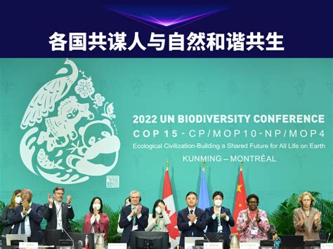 新华社评出2022年国际十大新闻 新华网