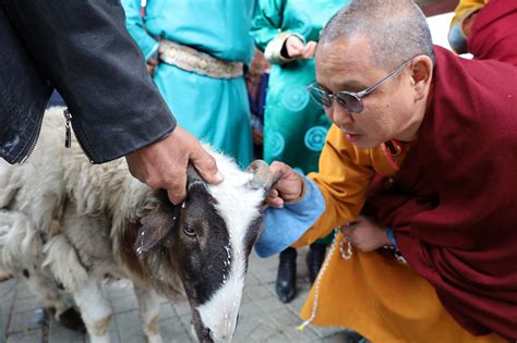 Дархан Уул Аймаг Added A New Photo Дархан Уул Аймаг