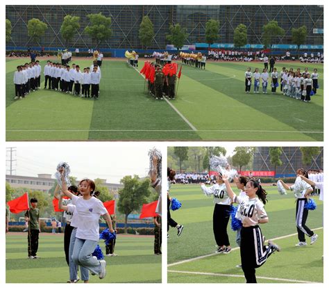 青春激扬，拼搏赛场——我校举行第十二届运动会