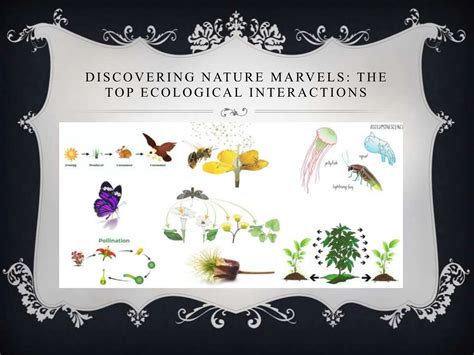 Discovering Nature Marvels The Top Ecological Interactionspptx