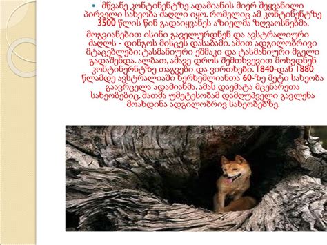 №36 საჯარო სკოლა X კლასი ლუკა აშხატოევი Ppt Download