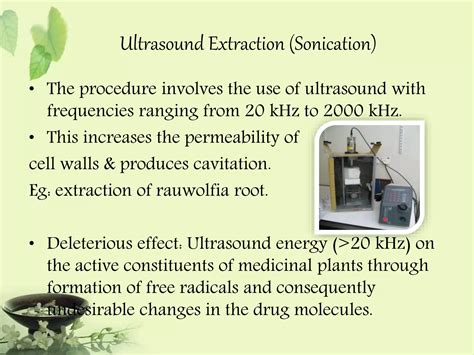 Phytochemical Extraction Ppt Herbs And Supplements Alternative