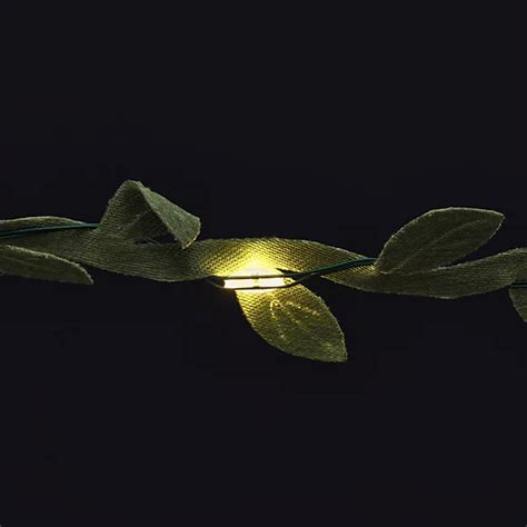 20 Warm White Led With Timer Function String Lights With 22m Green Cable