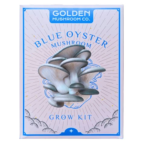 Blue Oyster Mushroom Grow Kit