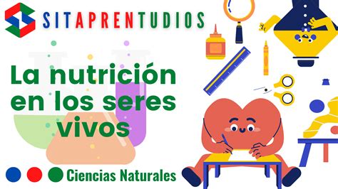 La Nutrición En Los Seres Vivos