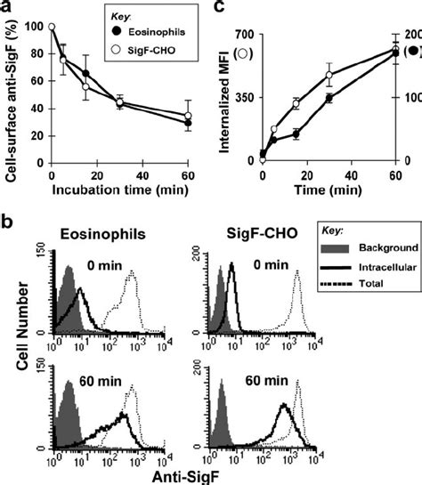 Siglec F Mediates Endocytosis Following Ligation By Antibody A Download Scientific Diagram