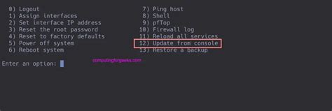 how to update opnsense from web ui or terminal console computingforgeeks