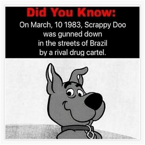 Scrappy Doo Memes Download Scooby Doo Papa Meme