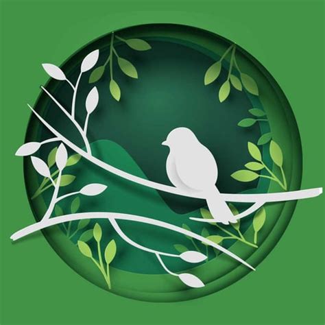 Blithe Definition Meaning And Synonyms