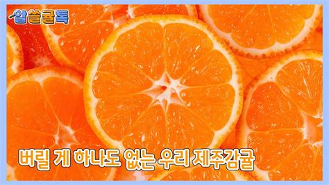 🔎알아두면 쓸모있는 감귤 톡톡 알쓸귤톡 [버릴 게 하나도 없는 우리 제주감귤]🔍 Youtube
