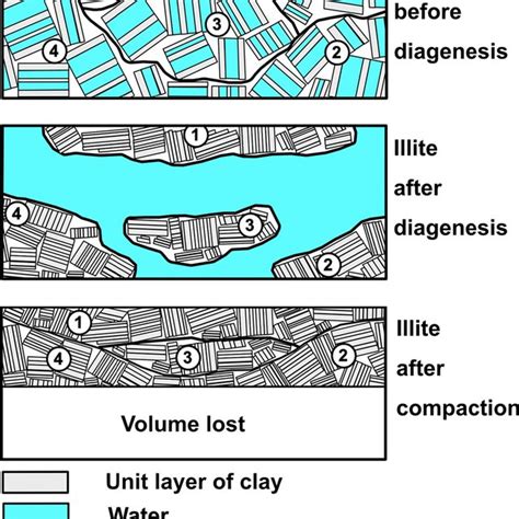 Clay Diagenesis Smectite Illite Conversion With Release Of Bound Download Scientific Diagram