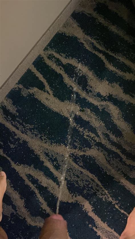 Piss On Carpet Rgaywatersports