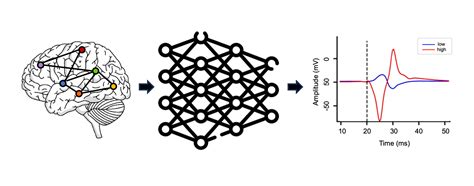 Real Time Eeg Decoding Tms Eeg — Ziemann Lab