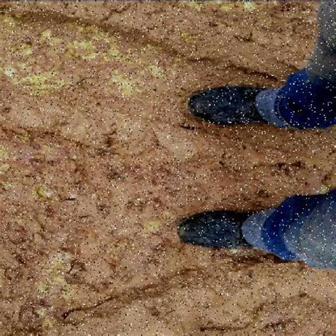 Shoes Detection Object Detection Model V1 2023 06 25 12 32am By Anass