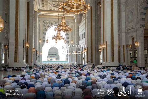 تفاصيل خطة موسم الحج 2024 والمخطط الزمني لمكاتب الحجاج مستعمل