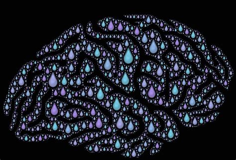 The Connection Between Dissociative Identity Disorder And Sex